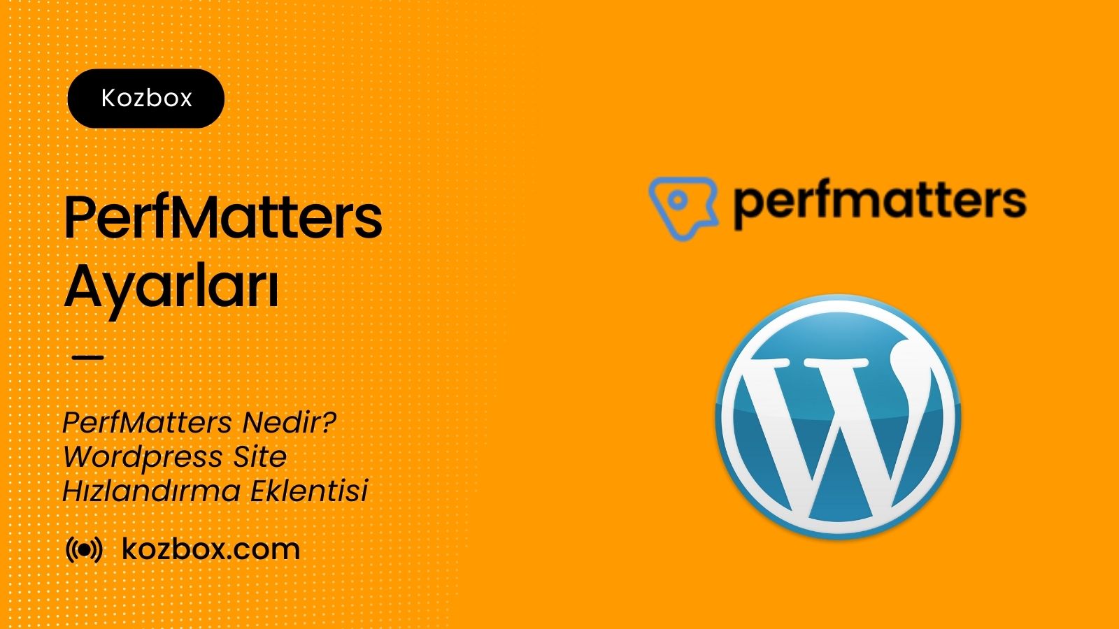 Perfmatters Nedir, Perfmatters Ayarları Nasıl Yapılır? | 2025